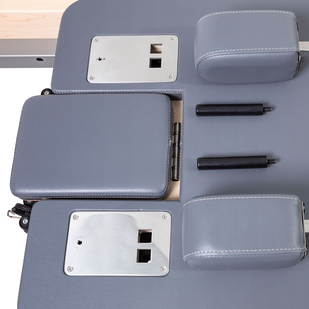 Reformer Pilates for Physiotherapy Master Instructor | Elina Pilates
