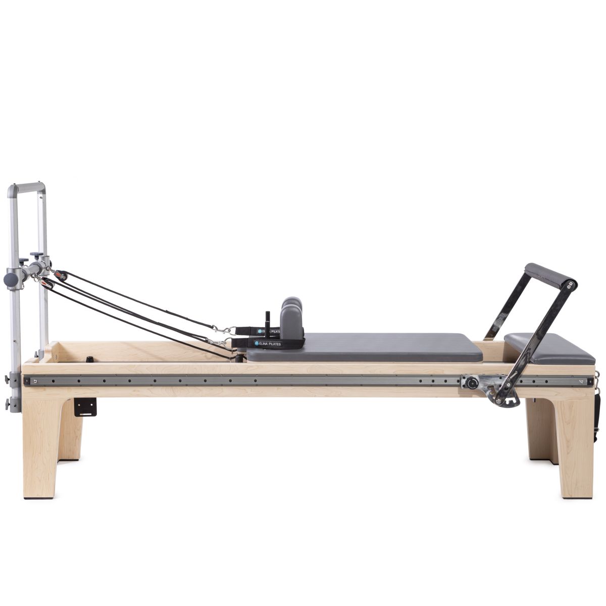 Reformer Pilates for Physiotherapy Master Instructor | Elina Pilates